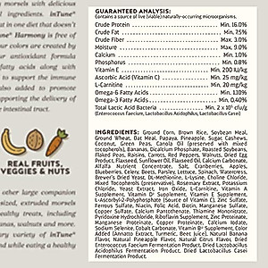 Intune Higgins Harmony Parrot and Large Bird Food 3Lb, Multicolor (038218)