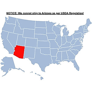 Brighter Blooms - Arbequina Olive Tree, 3-4 ft. - No Shipping to AZ