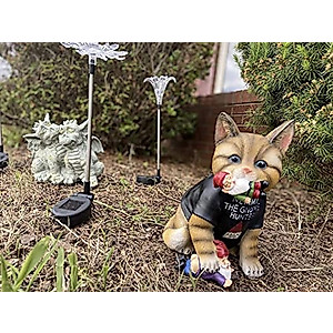 Nemmy The Gnome Hunter Garden Statue | American Shorthair Kitten | Housewarming Cat Gift for Cat Lovers | Outdoor Funny Gnomes Decoration | Gift For Grandma | Garden Design | 9 Inches Tall