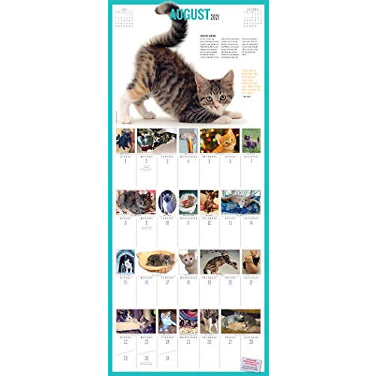 365 Kittens-A-Year Picture-A-Day Wall Calendar 2021