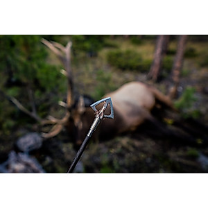 SIK F4 4-Blade Cut on Contact Fixed Blade Broadhead, Silver, One Size (ABH101F4)