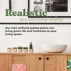 Set of 5 Succulents Fake Plants Bedroom Aesthetic Small Fake Plants Bathroom - Mini Fake Plants Decor for Office Desk Decor - Tiny Realistic Fake Succulent Plants Artificial Potted Set Cute Decoration