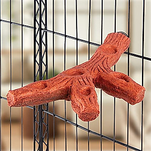 Wild Harvest Chewable Perch 10.5 Ounces, for All Birds, Made with Delicious Honey Flavor