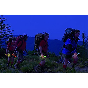 Cyalume Glow Sticks Military Grade Lightstick - Premium Green 6” SnapLight Emergency Chemical Light Stick with 12 Hour Duration (Bulk Pack of 30 Chem Lights)