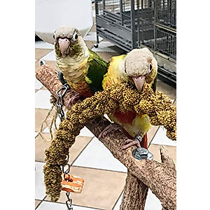 Nemeth Farms Worlds Freshest Sun-Dried Spray Millet Non-GMO and Pesticide Free (No Stems Only Edible Tops) Healthy Bird Treat and Supplement for All Pet Birds Keets Cockatiels Finches-1lb