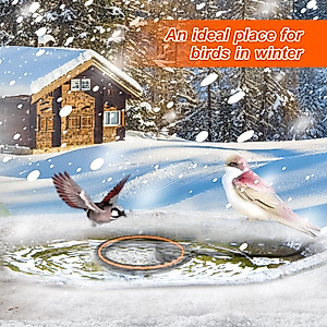 lollyes 250W Bird Bath Heater, Heated Bird Baths for Outdoor in Winter, Bird Bath De-icer with Thermostatically Controlled and 3.3Ft Cord, with Auto Shut Off Function, Ideal Gift for Birds