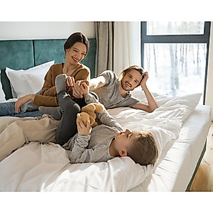 HOMEIDEAS Full Size Bed Sheets - 6 Piece Set (Sage Green) - Extra Soft Brushed Microfiber 1800 Bedding Sheets, Deep Pocket, Wrinkle & Fade Free