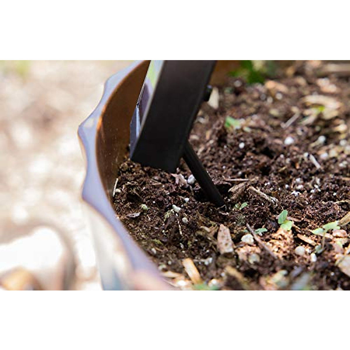 Kenroy Home 60650 Plant Solar Lighting, Small, Black