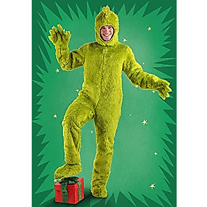 Fun Costumes Adult Dr. Seuss Grinch Open Face Costume Medium