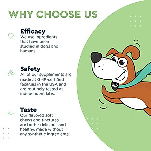 WONDER PAWS Milk Thistle Drops Plus Omega Max Fish Oil - for Dogs Liver and Kidney Support, Detox, Joint Health, Skin Moisture & Immune System Support - Milk Thistle 2 Ounces - Omega Max 16 Ounces