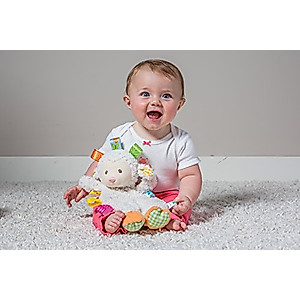 Taggies Sherbet Lamb Lovey Toy, 12 Inch (Pack of 1)