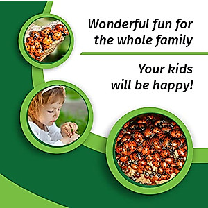 1500 Live Ladybugs - Good Bugs for Garden - Ladybug for Greenhouse - Guaranteed Live