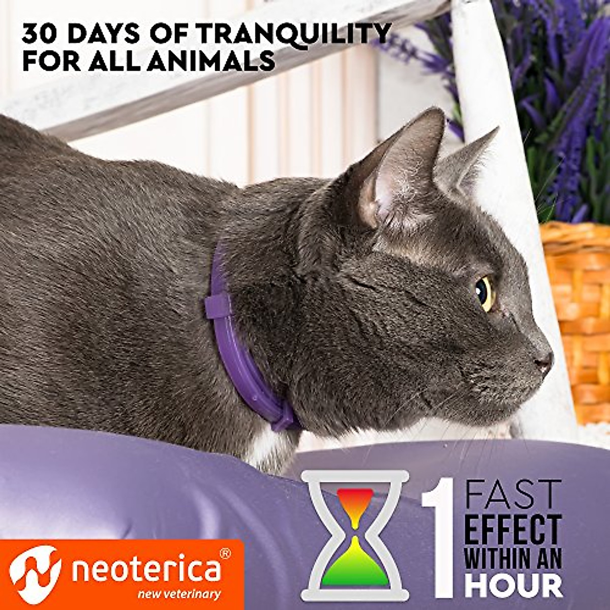 Cat Calming Collar & Pet Anti Anxiety Products - Feline Calm Pheromones Collars & Cats Stress Relief - Relaxivet Comfort Helps with Pee, New Zone, Aggression, Fighting with Dogs & Other Behavior