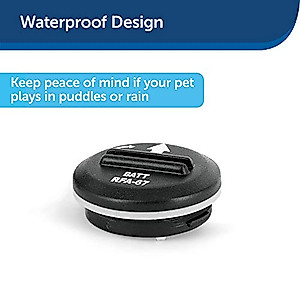 PetSafe RFA-67 6 Volt Replacement Batteries - 2 Pack - Compatible with PetSafe 6V Lithium Battery-Operated Pet Products and Specific Dog Receiver Collars - RFA-67D-11, Black
