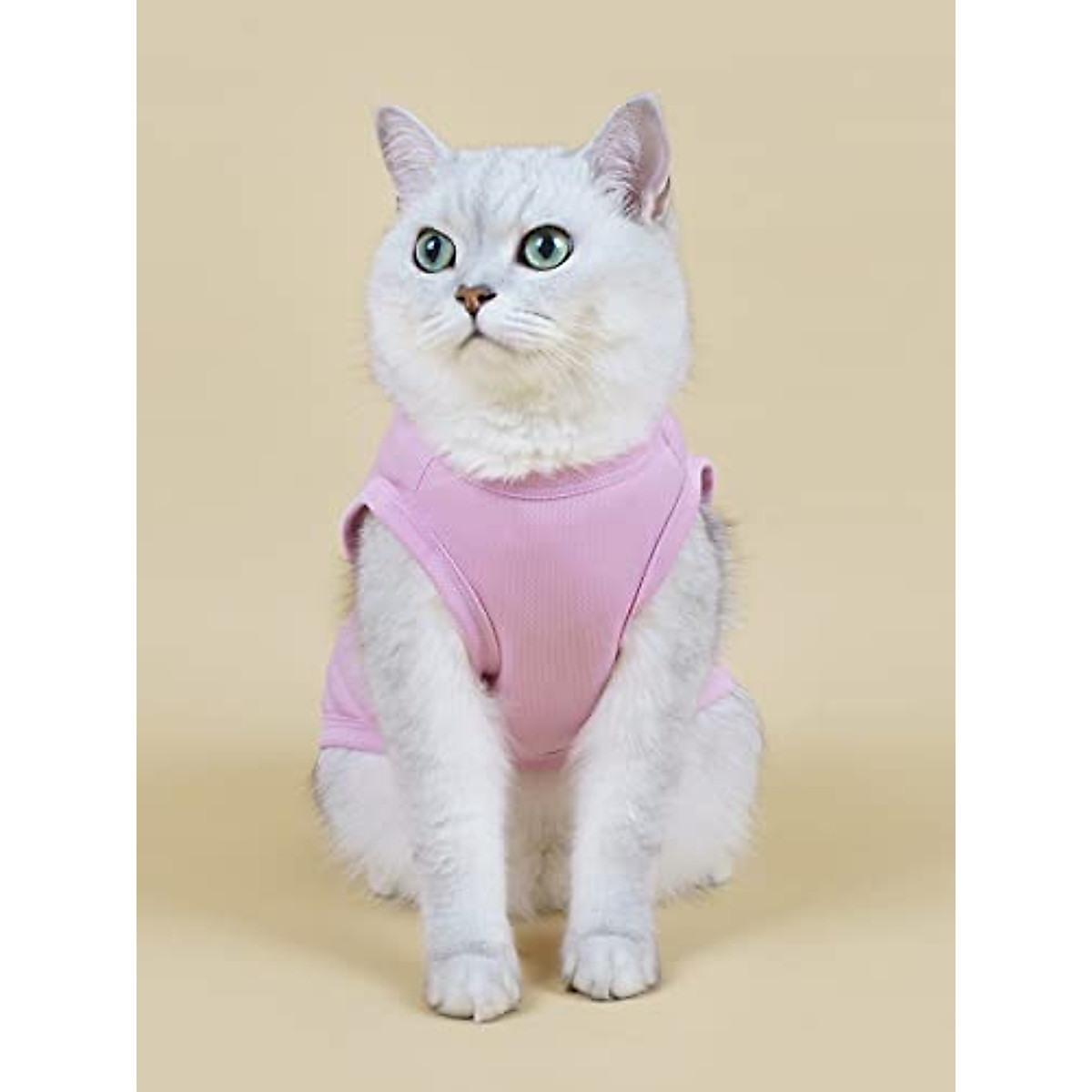 QWINEE 3pcs Dog Shirt Tank Top Puppy Vest Dog Cat Basic Shirts Clothes for Small Medium Dogs Kitten Kitty Multicolor M