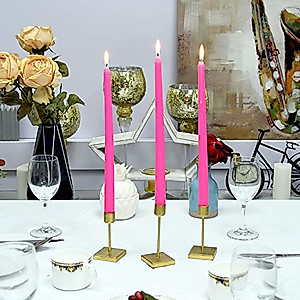 Zest Candle 12-Piece Taper Candles, 12-Inch, Hot Pink