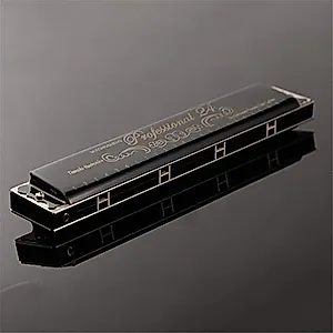 Harmonica Harmonica 24 Hole Polyphonic Hole Sound Professional Performance C HarmonicaAdvanced Beginners Practice Self-Study C Harmonica Instrument178 * 28 * 22mm Harmonicas