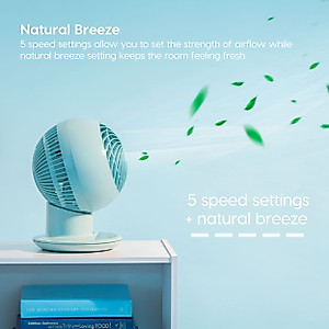 IRIS USA WOOZOO Fan with Remote, Oscillating Fan, Desk Fan, Table Air Circulator, Globe Fan, 5 Speeds, 82ft Max Air Distance, 4h Timer, 11 Inches, 90° Adjustable Tilt, Low Noise, Blue