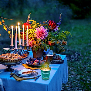 12 Pack Soy Candles Scented, 2 oz Candle Jar Single Wick Citronella Candle, 10 Hour Burn time Aromatherapy Candle