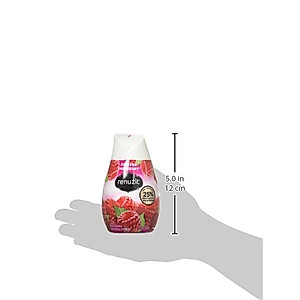Renuzit Adjustable Air Freshener Gel, Forever Raspberry, 7 Ounces (6 Count)