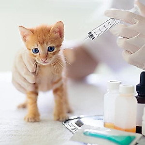 13 Pack Puppy Feeding Tube Kit Includes 8 FR Red Rubber Kitten Feeding Tubes, Clear Feeding Tube Syringes 10 ml 30 ml 60 ml Feeding Tools for Small Animals Supplies