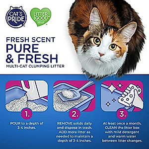 Cat's Pride Premium Lightweight Clumping Litter: Pure & Fresh - Up to 10 Days of Powerful Odor Control - Multi-Cat, Scented, 10 Pounds