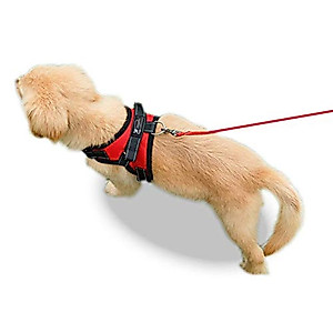 Copatchy No Pull Reflective Dog Harness (Small, red)