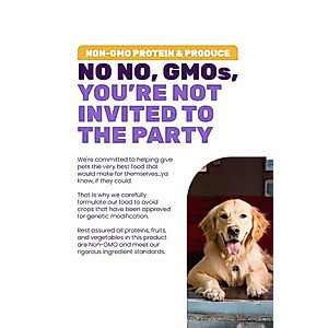 "I and love and you" Top That Tummy Wet Dog Food Pouch, Chicken Recipe In Gravy, 3 oz (Pack of 12)