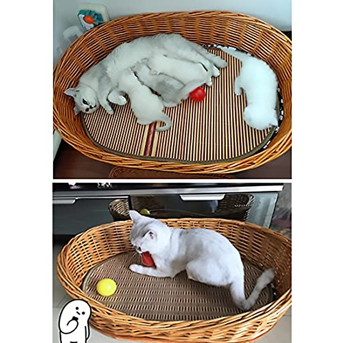 ZJMK Wicker Dog Cat Bed with Cushion & Bamboo Mat, Small Medium Dogs Cats Basket Washable Wicker Nest, Various Size (Size : #1(50×38cm/19.7×15in))