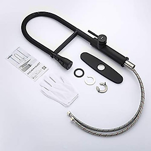 Lonheo Kitchen Faucets, High Arc Stainless Steel Faucets with Pull Down Sprayer (Black)