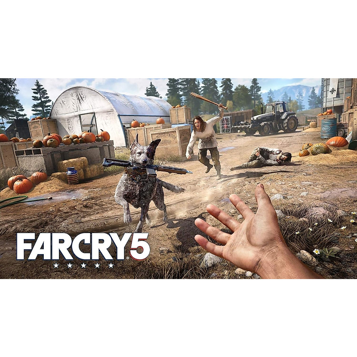 Far Cry 4 + Far Cry 5 (Xbox One)