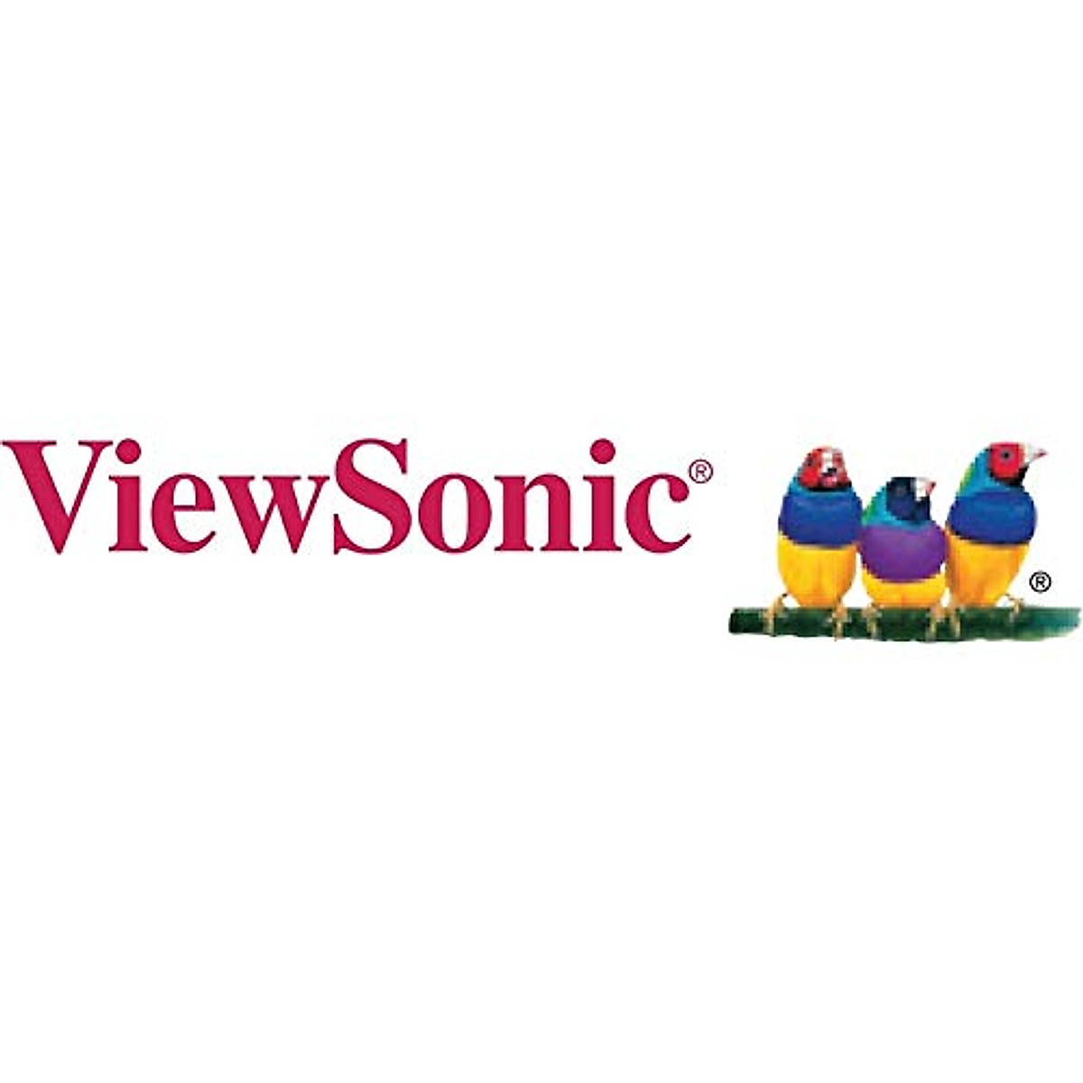 Viewsonic Display Privacy Filter, 21.5" Wide (VSPF2150)