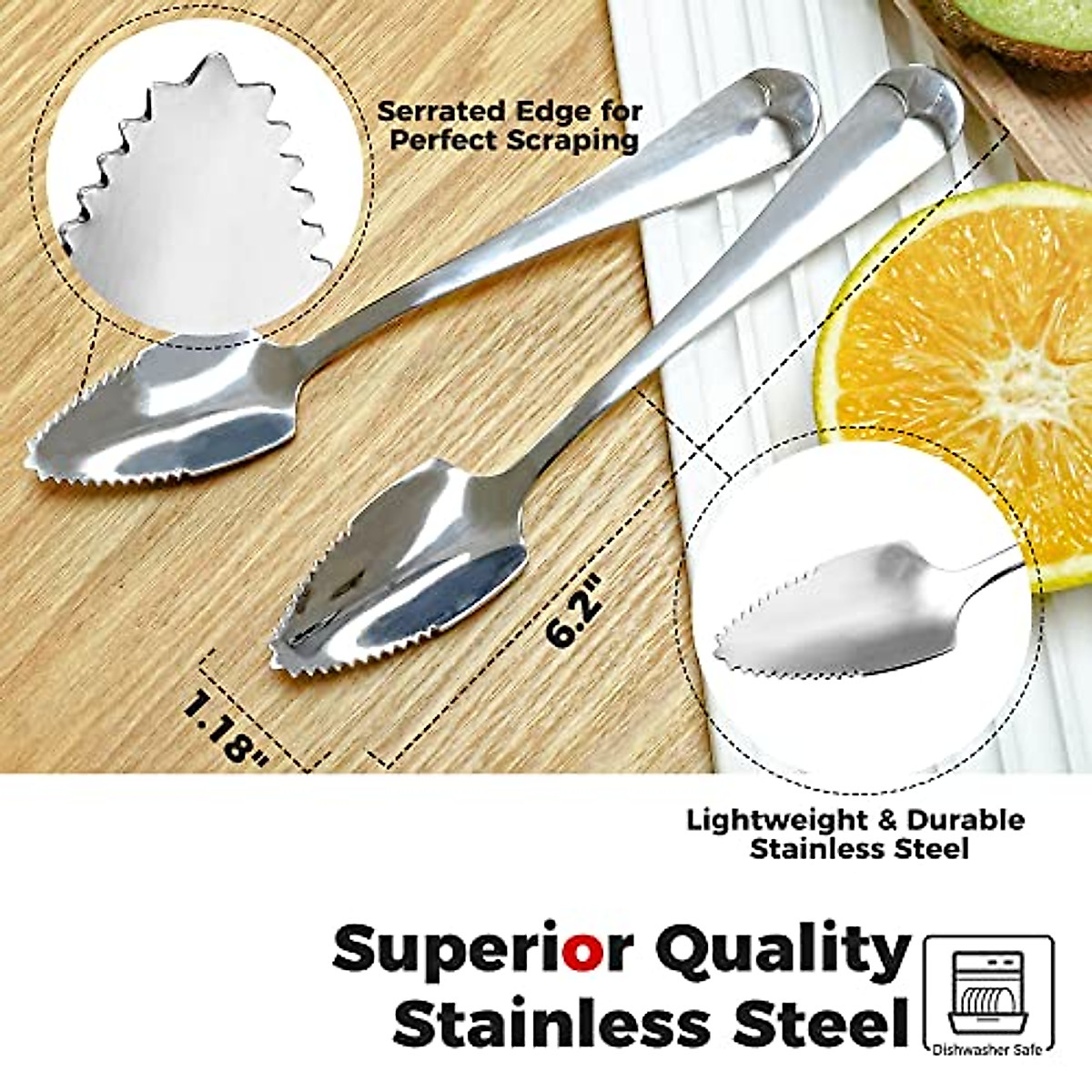 Better Houseware Grapefruit Spoons ,Set of 2 Grapefruit Spoons serrated stainless steel ,grapefruit spoon Baby fruit spoon scraper, Spoons with Serrated Edges for Orange & Kiwi, Ginger Peeler