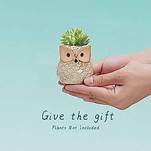 Warmplus 2.5 inch Owl Succulent Plant Pots - Mini Ceramic Planter with Drainage Hole for Mini Succulent Plants, Plants Not Included, Cute Succulent Kit 6 Pack