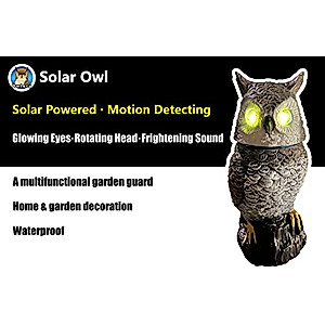 Owlery Solar Owl with Flashing Eyes, Rotating Head and Realistic Tweets, Plastic Owl Decoration for Home, Garden, Patio and Fence, 15 in x 5.5 in x 5.5 in