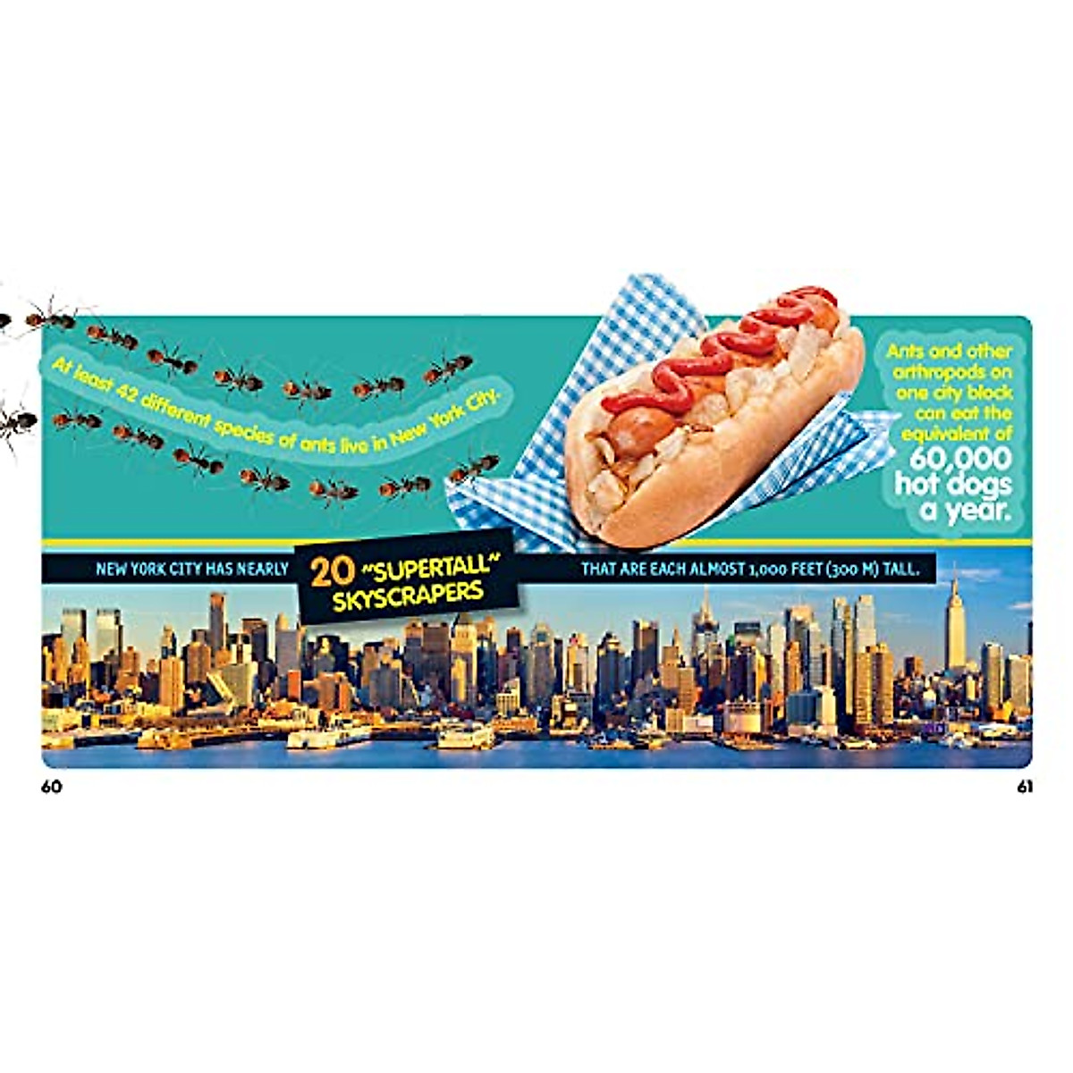 Weird But True! New York City