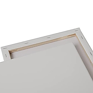 Zingarts Canvases for Painting 9x12Inch 6-Pack,100% Cotton Primed Painting Canvas Panels, Stretched Canvas Boards is for Professionals,Students & Kids, for Acrylic Paint, Oil, Watercolor, Gouache