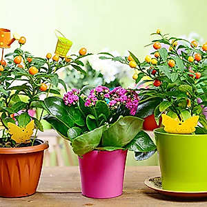 50 Pack Yellow Sticky Traps, Fruit Fly Fungus Gnat Trap for Indoor/Outdoor Use, Houseplant Sticky Bug Insect Catcher Glue Trappers