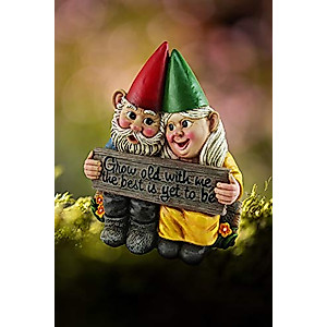 DWK - Growing Old Together - Garden Gnome Couple in Love Collectible Figurine Best Friends Lovers Romantic Statue Indoor Outdoor Garden Patio Home Décor, 5.75-inch