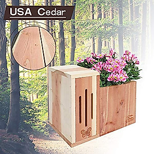 Solution4Patio USA Cedar Butterfly House & Flower Pot 2 in 1 Combination Multifunctional Design with Drainage Holes, 9.2 in. L x 5.7 in. W x 8.0 in. H #B309A00