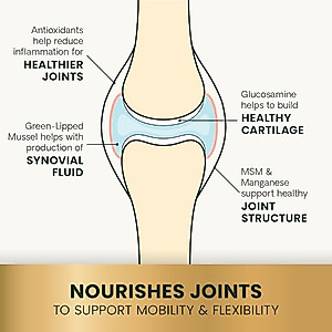 VetriScience Ultimate Strength Healthy Hip & Joint Chews, GlycoFlex Glucosamine, Chondroitin & Green-Lipped Mussel Joint Support Supplement for Dogs, Soothe Joint Discomfort, Duck, 60 Count