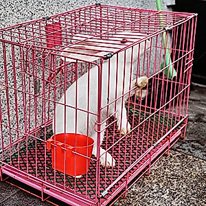 30 Pcs Cage Cups Birds Feeders Bird Water Dispenser Hanging Quail Waterer Plastic Chicken Feeding Watering Dish for Small Coop Parrot Parakeet PET Poultry Pigeon Gamefowl Food Seed Bowl Supplies, Red