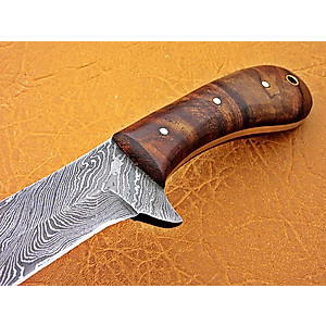 Black Smith Custom Knives DM-BC-01 Handmade Damascus Steel Bull Cutter Cowboy hunting castration and skinning knife, 8" Rose Wood Handle, Fixed Blade EDC Knife With Leather Sheath