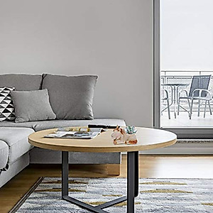 Cabilock Unicorn Flower Pot Succulent Pot Cactus Bonsai Pot Planter Plant Container Holder Unicorn Ornament Housewarming Garden Gift