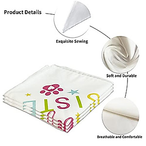 Hujiao-Zi Big Sister Pregnancy Announcement Dog Bandana, Gender Reveal Photo Prop, Accessories Pet Scarves for Dog Lovers Owner Gift