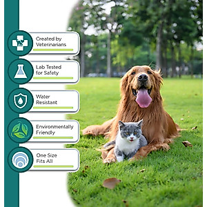 ShengKou Flea and Tick Collar for Dogs and Cats - Safe and Natural Prevention and Control of Pests on Puppies and Kittens - Waterproof - Free Comb - 2-Pack (13.8 in & 27.5 in)