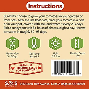 Tomatoes Gift Box Kit for Planting 1 Variety Pack 3g Red Cherry Tomato Seeds for Your Vegetable Garden (Tomato, Red Cherry)