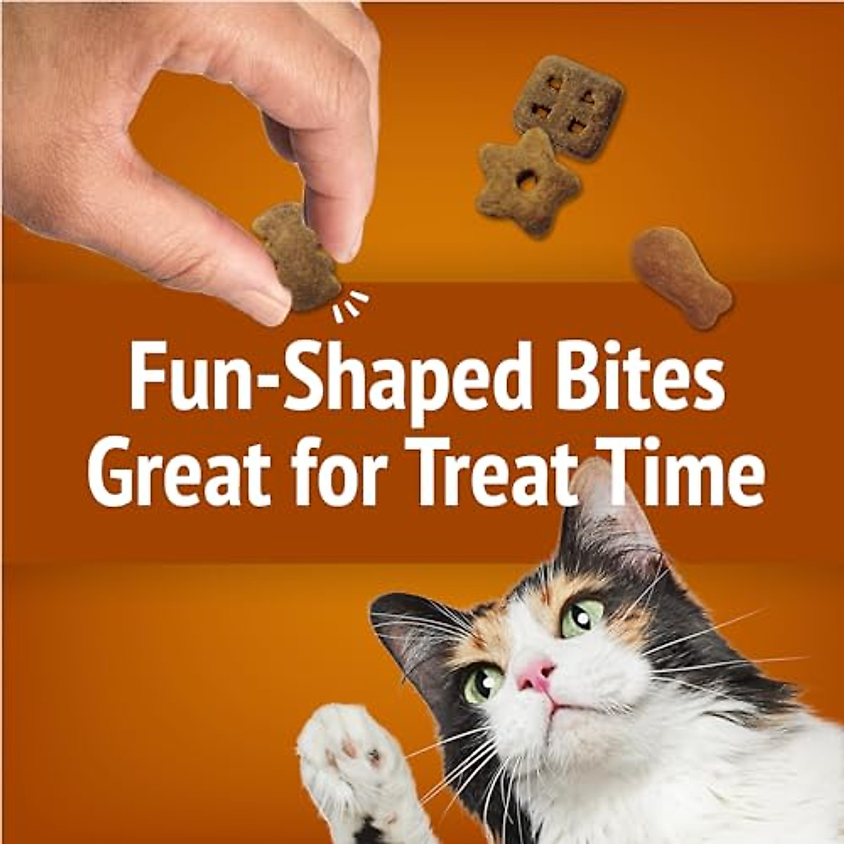 Purina Friskies Cat Treats, Party Mix Chicken Lovers Crunch - 20 Ounce (Pack of 1)