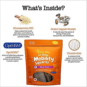 Zesty Paws Flavored Soft Chews - Hip and Joint for Dogs with Glucosamine Chondroitin & MSM Dog Mobility Supplement for Hips Joints Cartilage Support Plus Green Lipped Mussel 10 oz