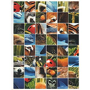 3 PACK Amazing Animal Puzzle Stickers 1,2 & 3